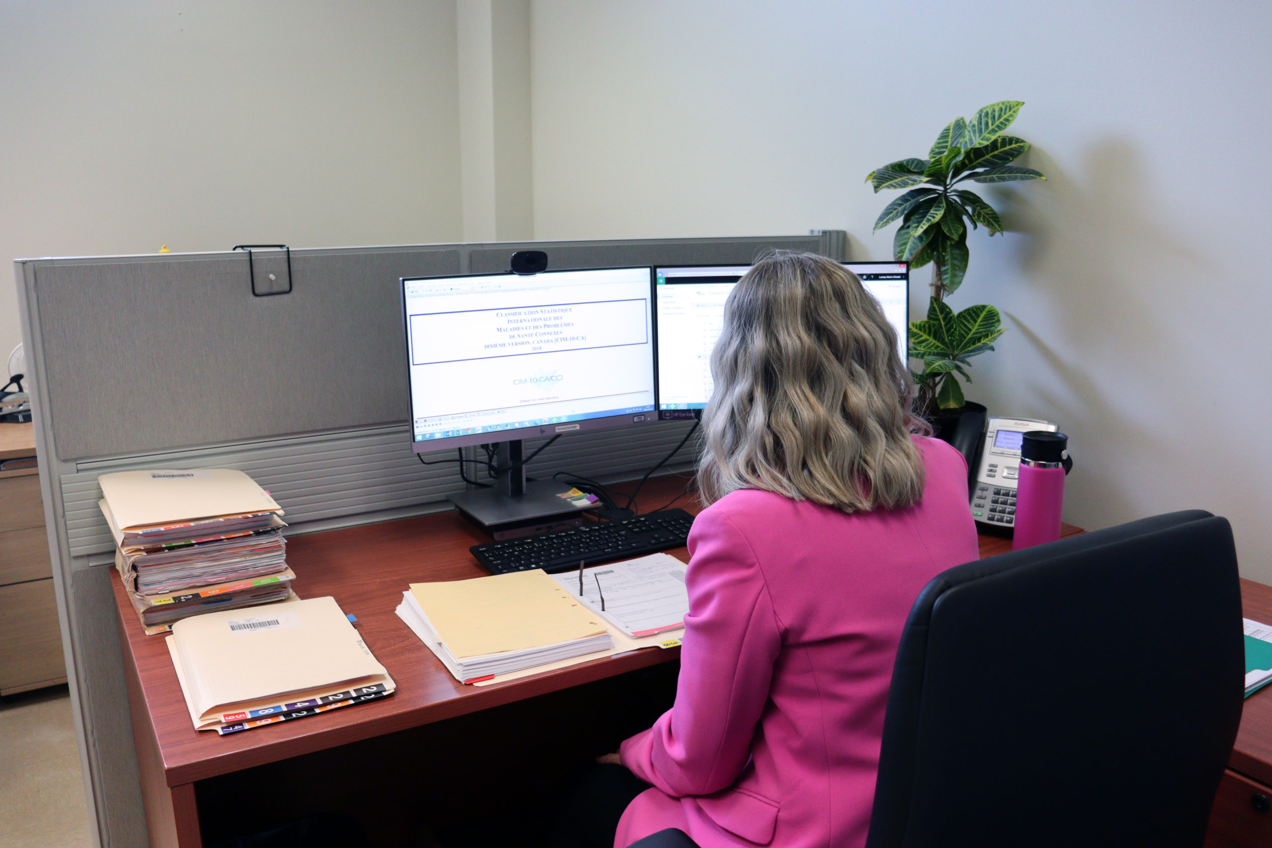 4 faits intéressants sur la profession d’archiviste médical | Collège ...